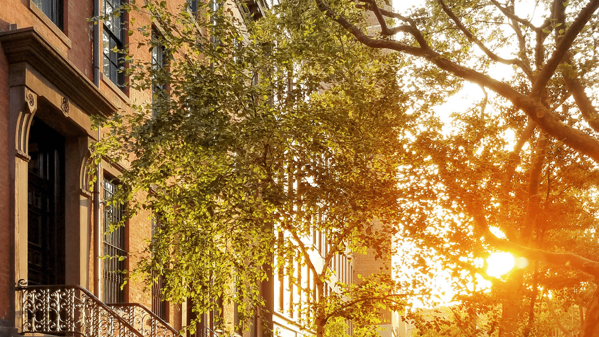 Lument | Grafik Agency | Marketing Case Study